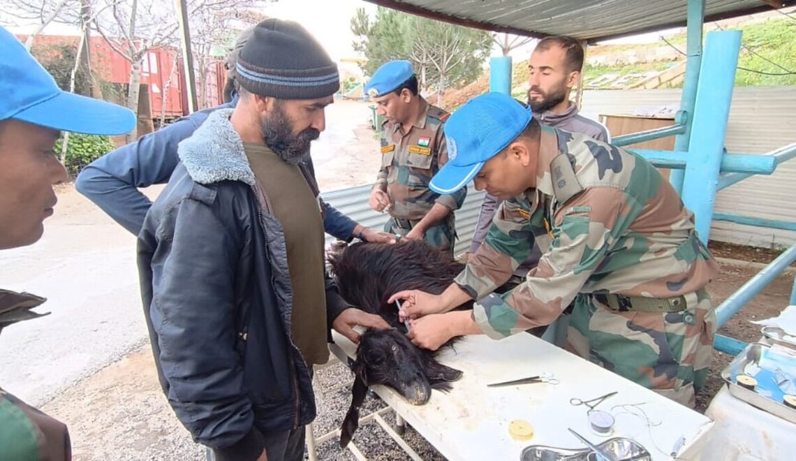 UNIFIL Indian vets treat livestock caught in exchanges of fire | United ...